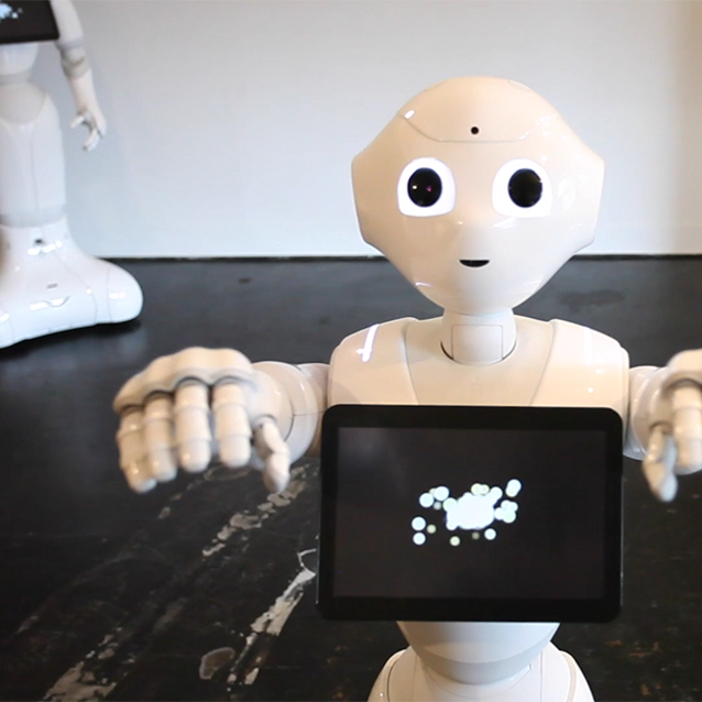 PEPPER PROJECT | Projects | NOIZ